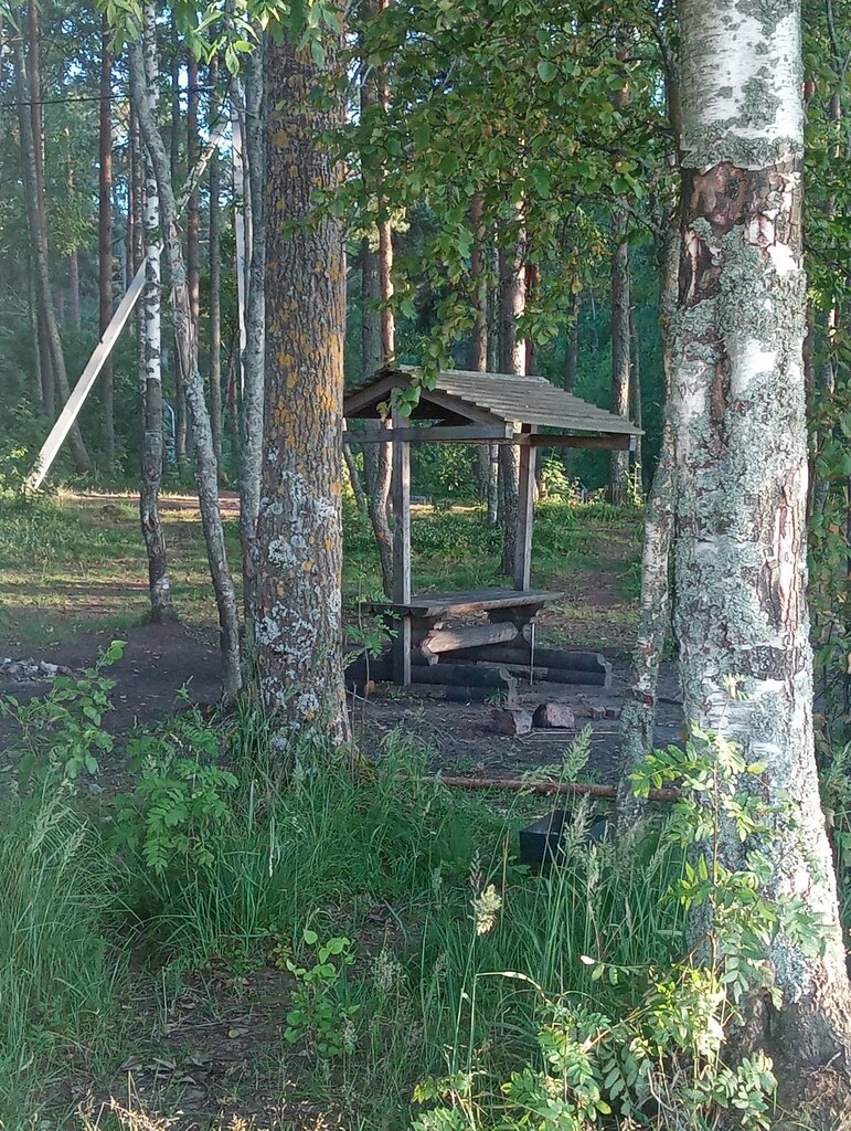 Çardak Gazebo, Saint‑Petersburg ve Leningradskaya oblastı, foto