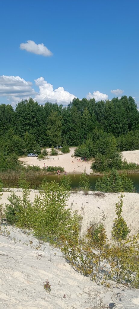 Plaj Пляж, Kostromskaya oblastı, foto
