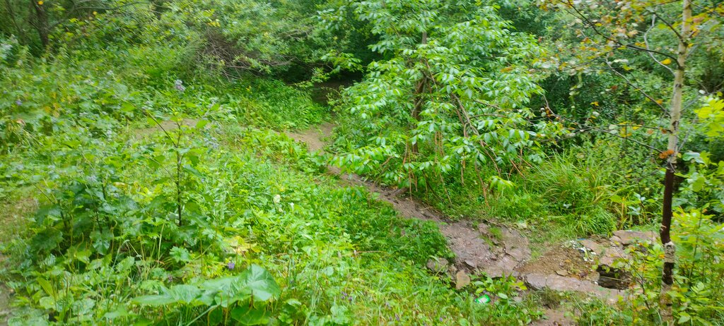 Pınar, çay Spring, stream, Belebey, foto