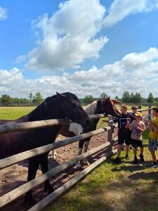 Эвелина (Magadan, mikrorayon 6 kilometr), hayvanat bahçeleri  Magadan'dan
