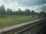 Заводской (Irkutsk Region, Chunskiy munitsipalny okrug, Novochunskoye munitsipalnoye obrazovaniye), tren istasyonu  İrkutskaya oblastından