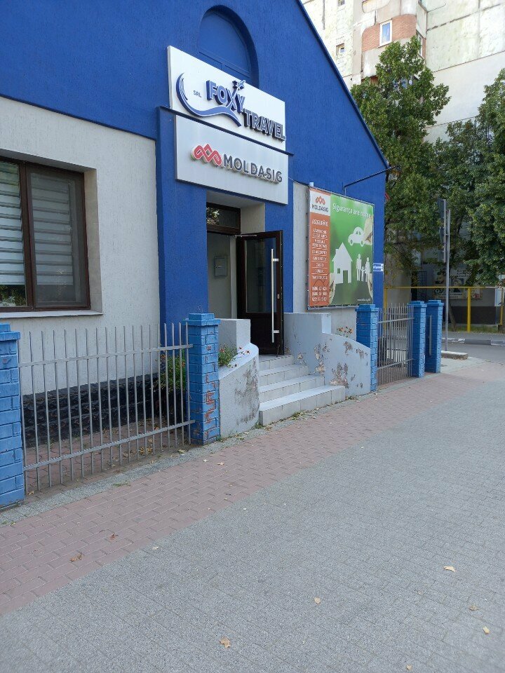 Sigorta şirketleri Moldasig, Beltsi, foto