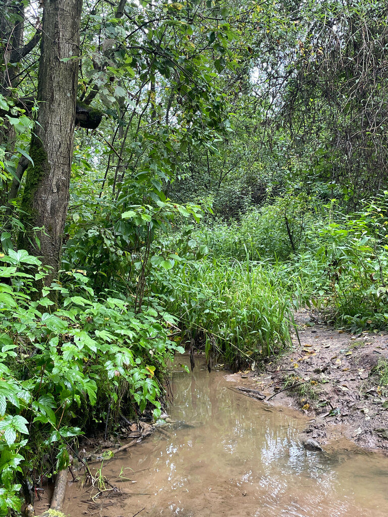 Pınar, çay Spring, stream, Moskova, foto