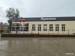 Гармония (Sovetskaya Street No:23, selo Bolshoy Sundyr), kafe  Çuvaşya'dan