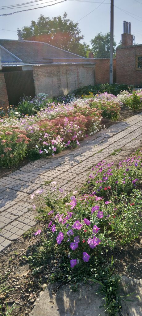 Sanat okulları Детская школа искусств, Krasnodarski krayı, foto