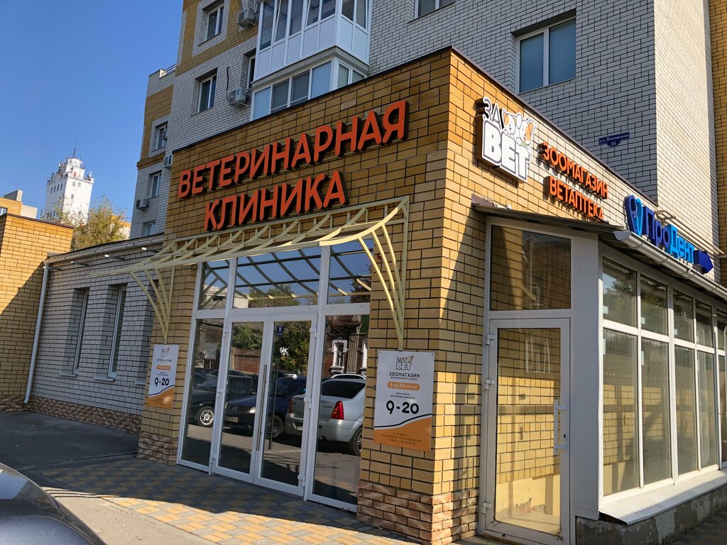 Veteriner klinikleri ЗаВет, Tambov, foto