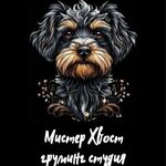 Груминг студия Мистер Хвост (Chelyuskintsev Street No:20), evcil hayvan kuaförleri  Nijni Novgorod'dan