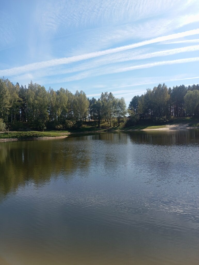 Piknik alanı Место для пикника, Vladimirskaya oblastı, foto