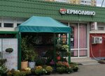 Комнатные растения (ulitsa Trudovoy Slavy No:9), çiçekçiler  Krasnodar'dan