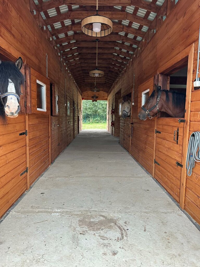 At ve binicilik kulüpleri Апгрейд, Moskova ve Moskovskaya oblastı, foto