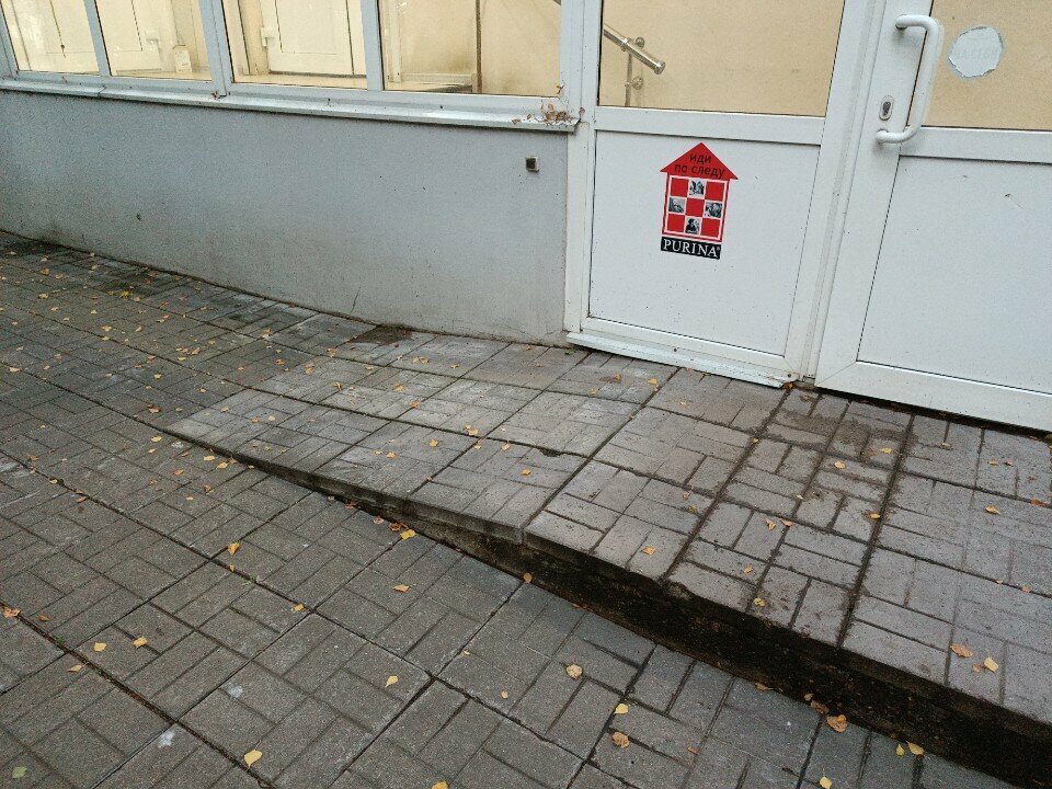 Petshop СобаБоба, Tver, foto