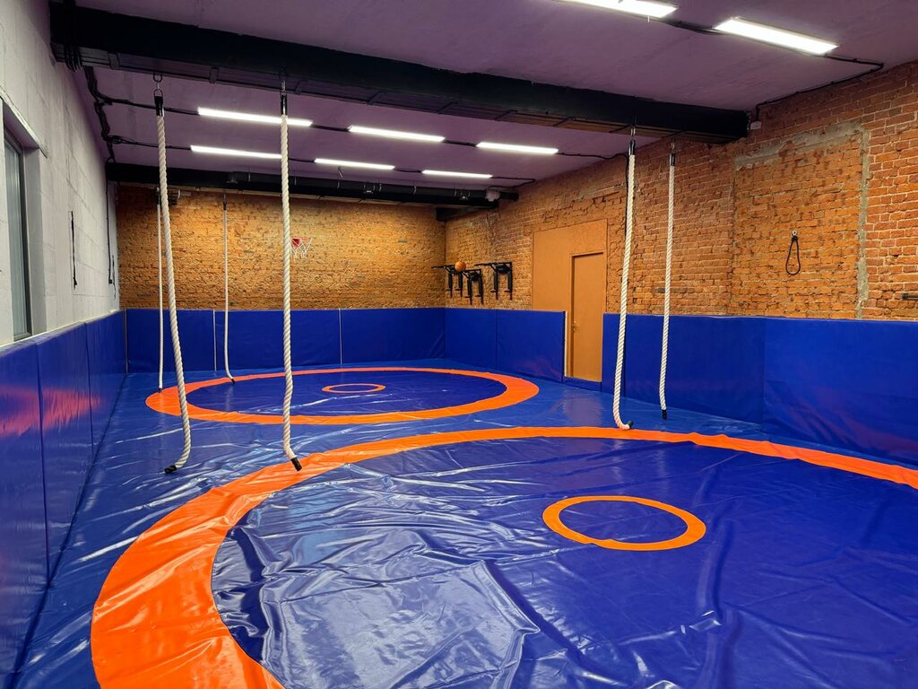 Spor ve jimnastik salonları Зал вольной борьбы, Ruza, foto