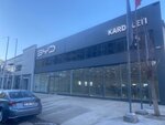 Byd Kardelen (Diyarbakır, Bağlar, Mevlana Halit Mah., Doç. Dr. Ahmet Bilgin Cad., 1AA), otomobil satış galerileri  Diyarbakır'dan