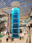 Aquarium (Khodynsky Boulevard No:4), akvaryum  Moskova'dan