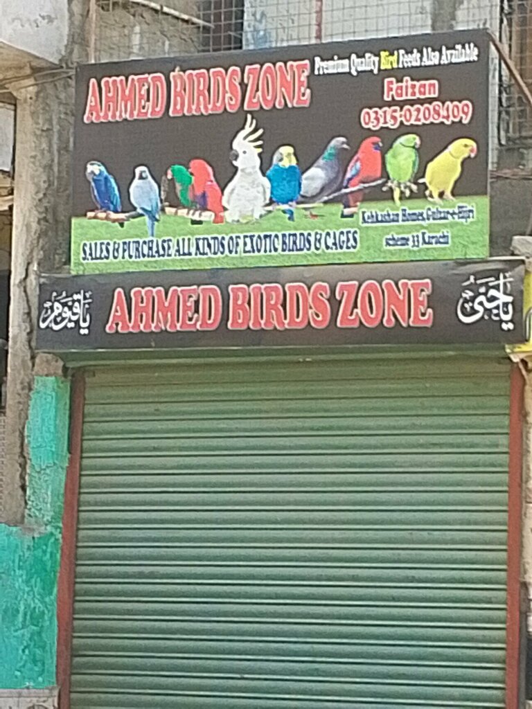 Petshop Ahmed Birds Zone, Karaçi, foto