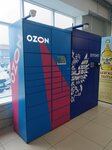 Ozon box (улица Баязита Бикбая No:17), parsel otomatı  Ufa'dan