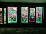 ЗооМагия (Budyonnogo Avenue No:21к1), petshop  Saint‑Petersburg'dan