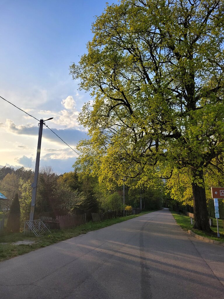 Turistik yerler Домик смотрителя, Grodnenskaya oblastı, foto