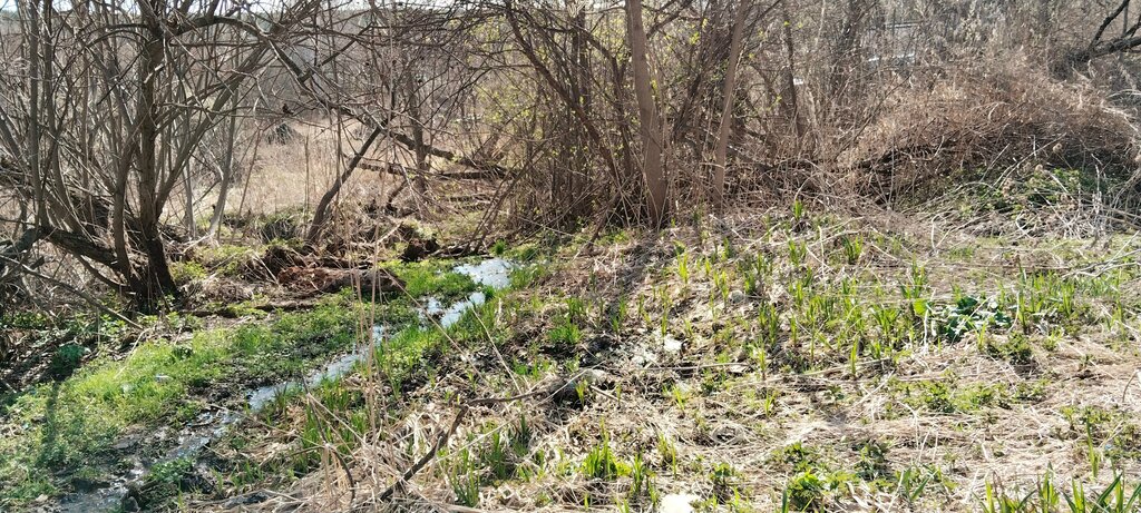 Pınar, çay Spring, stream, Sverdlovskaya oblastı, foto