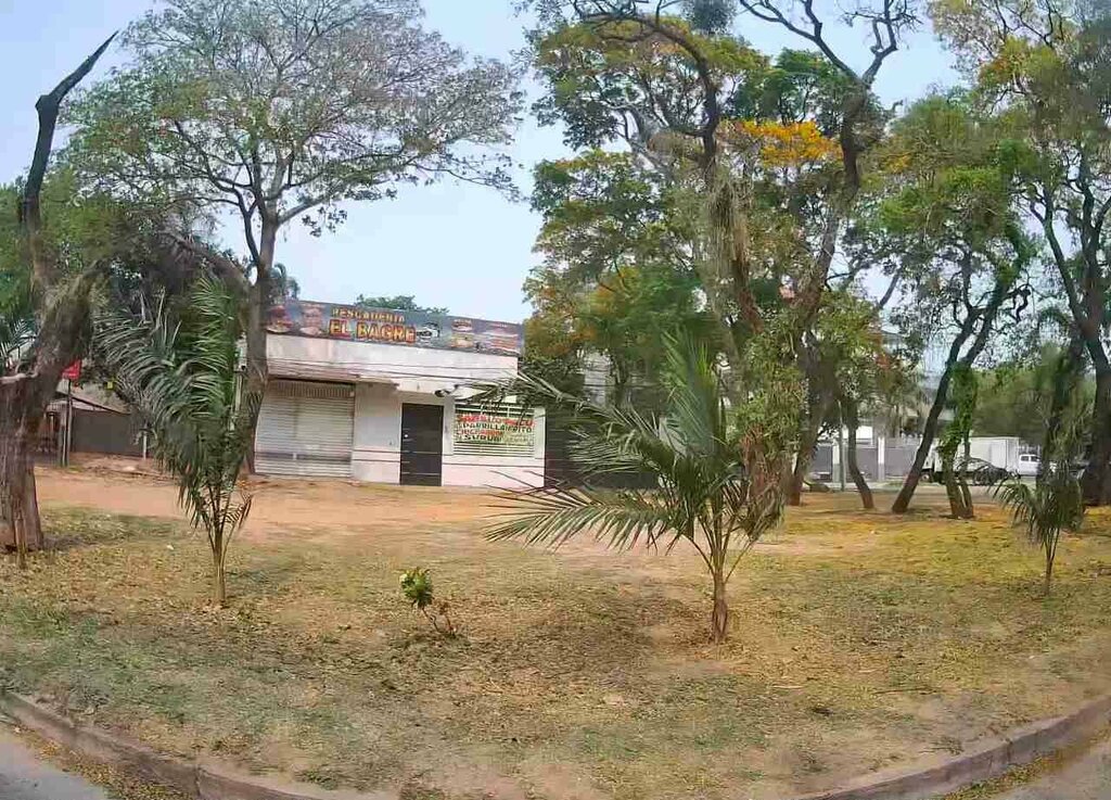 Restoran Oasis del bagre, Santa‑Krus, foto
