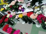 Цветочная лавка (ulitsa Rozy Lyuksemburg No:36/2, mikrorayon Krasny Gorodok), çiçekçiler  Orenburg'dan