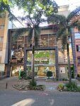 Tintoretto Café (Antioquia, Municipio de Medellín, Belén, Carrera 76, 7-21), kafe