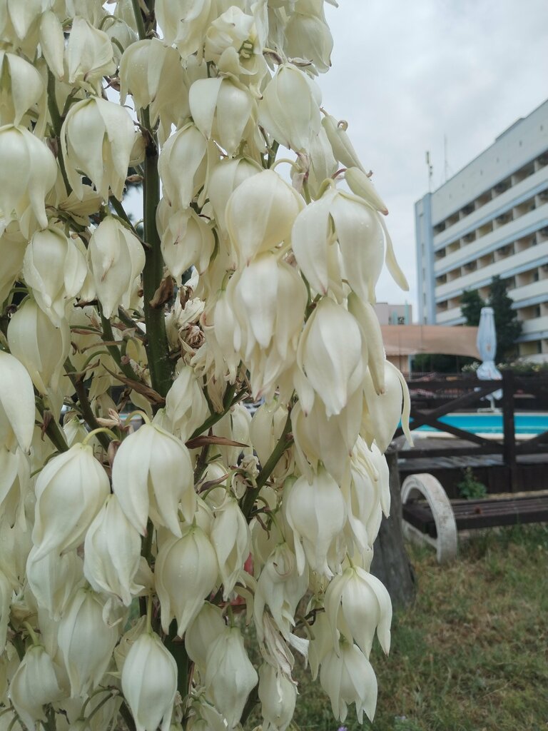 Çocuk mağazaları Малыш, Kırım Cumhuriyeti, foto