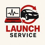 Launch Service (ulitsa Aleksandrova No:2В), otomatik teşhis  Voljski'den