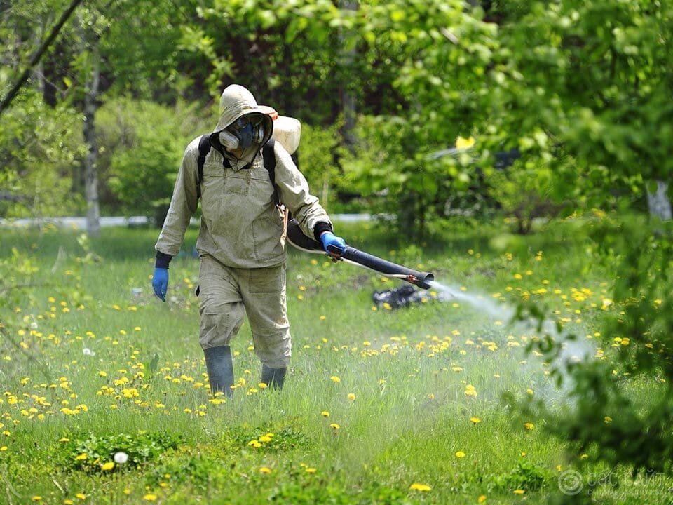 Haşere ilaçlama firmaları Gsd, Şçolkovo, foto