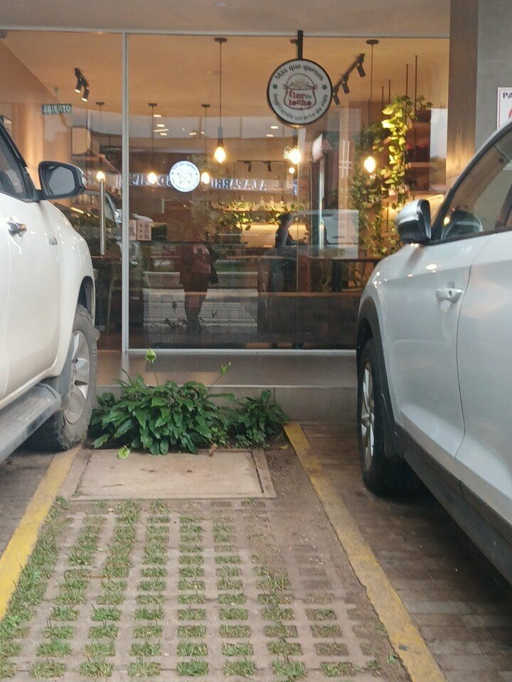 Restoran Flor De Leche, Santa‑Krus, foto