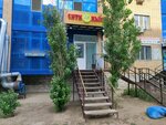 City Kumys (No:16, Almaty City District, Qarǵaly turǵyn alaby, Eset batyr atyndaǵy shaǵynaýdan, 2-shi shaǵyn aýdan), vitamin bar  Aktöbe'den