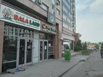 Qiwi (Naýaı kóshesi No:7), ödeme terminali  Almatı'dan