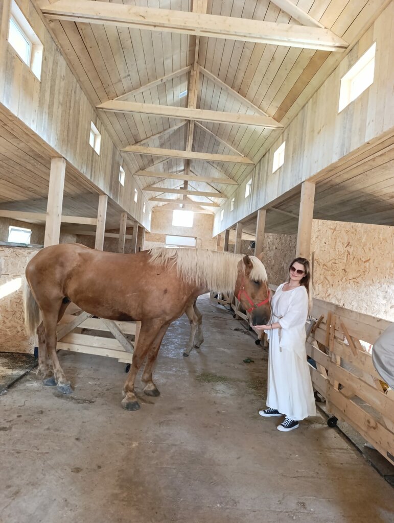 At ve binicilik kulüpleri Bambi Land Ranch, Moskova ve Moskovskaya oblastı, foto