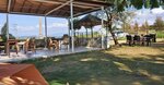 Teras Çınarcık (Yalova, Çınarcık, Hasanbaba Cad., 74), restoran  Çınarcık'tan
