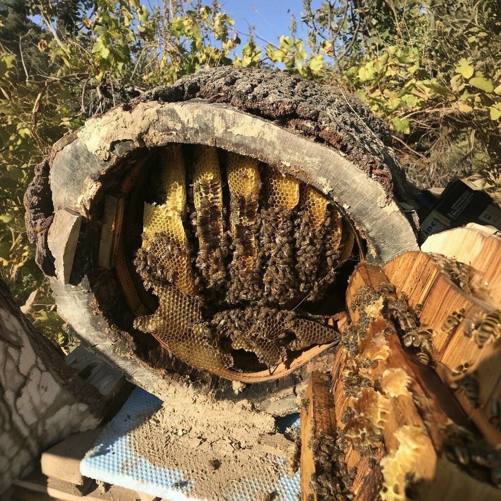 Restoran Yılmazın Yeri, Buharkent, foto