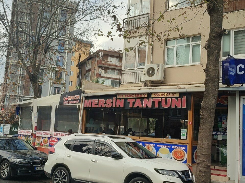 Yapay bitki ve çiçek Sevgim Çiçekçilik, İstanbul, foto