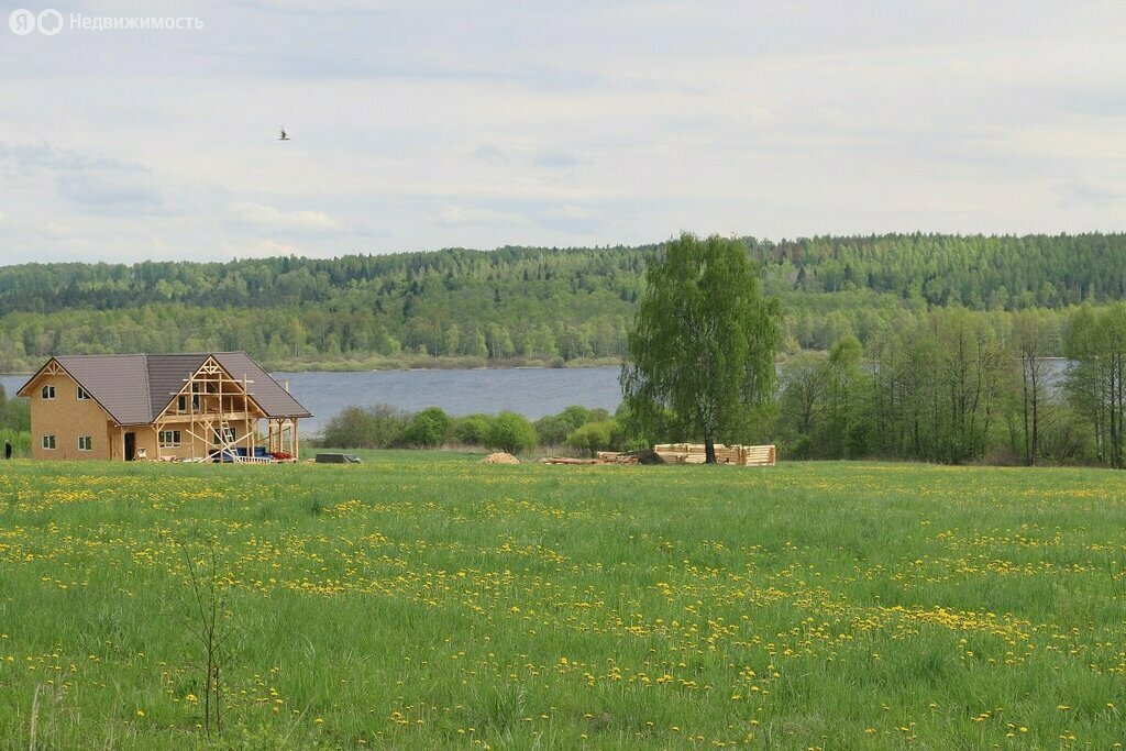 Yazlık yerleşim Заполье, Saint‑Petersburg ve Leningradskaya oblastı, foto