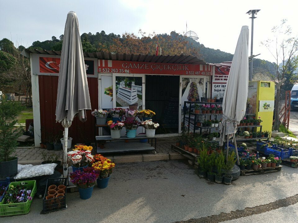 Çiçekçiler Gamze çiçekçilik, İzmir, foto