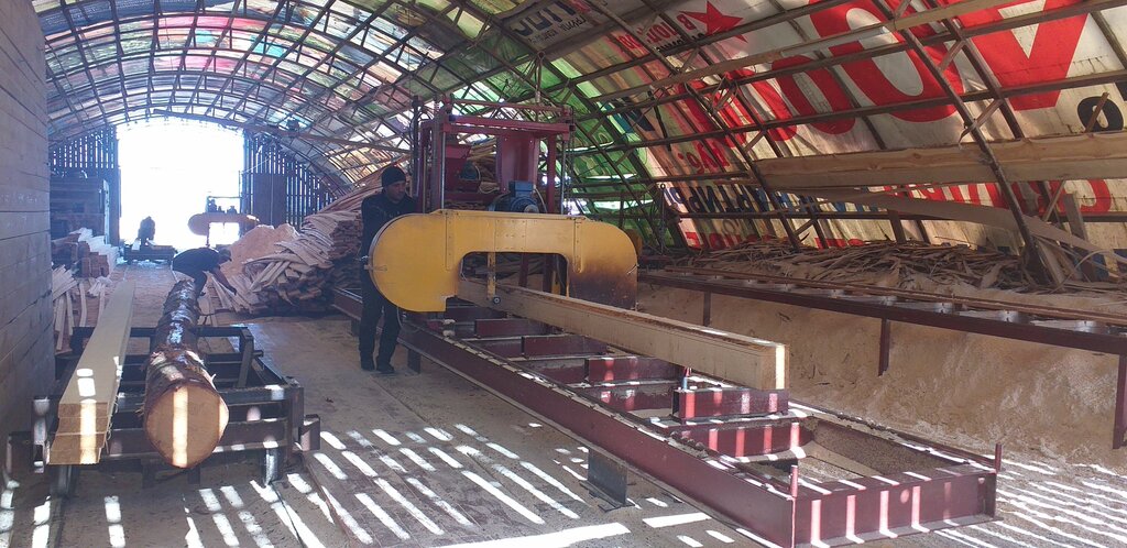 Ahşap endüstrisi Pilorama u Shmelya, Saint‑Petersburg ve Leningradskaya oblastı, foto