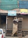 Banu Birds (No:H304, Naya Mohalla, Rawalpindi), petshop  Rawalpindi'den
