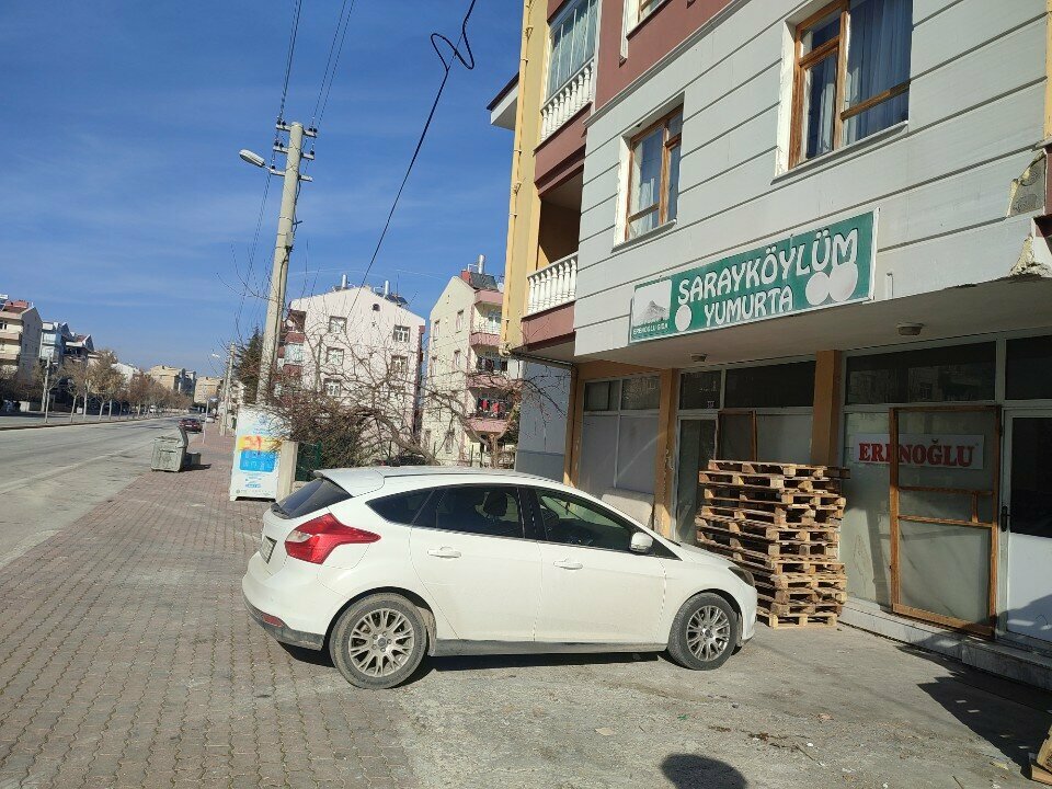 Kanatlı hayvan ürünleri ve yumurta Sarayköylüm Yumurta, Konya, foto