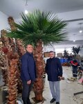 Agrosumas (Ankara, Çankaya, Hürriyet Cad., 52), tarım ürünleri firmaları  Ankara'dan