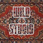 Wild Studio (Admiralteyskaya Street No:3к2), profesyonel fotoğraf stüdyosu  Kazan'dan