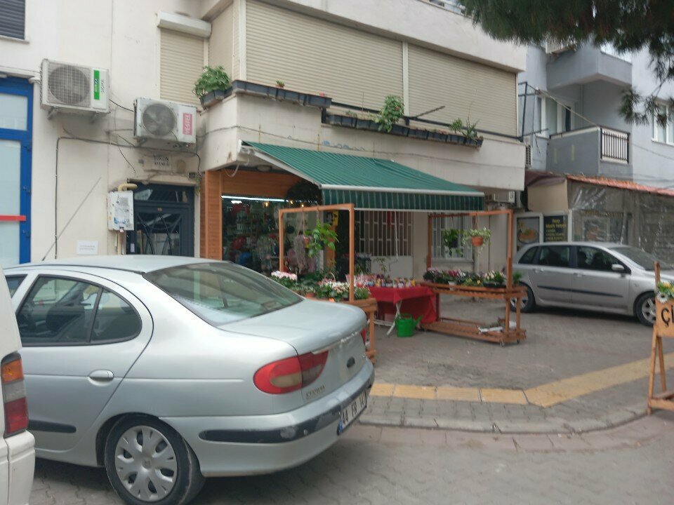 Çiçekçiler F altay çiçek satış kaktüs garden, İzmir, foto