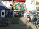Raikan (Kyiv Street No:77), kantin, yemekhane  Bişkek'ten