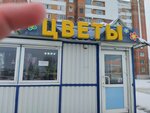 Магазин цветов (Bresckaja voblasć, Pinsk, Lugi Сity Sector), çiçekçiler  Pinsk'ten