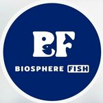 Biosphere Fish (Aqmola oblysy, Burabay district, Abylaıhan aýyldyq okrýgi, village of Akylbai), balık çiftçiliği ve toptancıları  Akmola eyaletinden