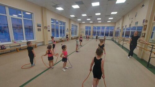 Çok amaçlı spor tesisleri Олимпик, Belgorodskaya oblastı, foto