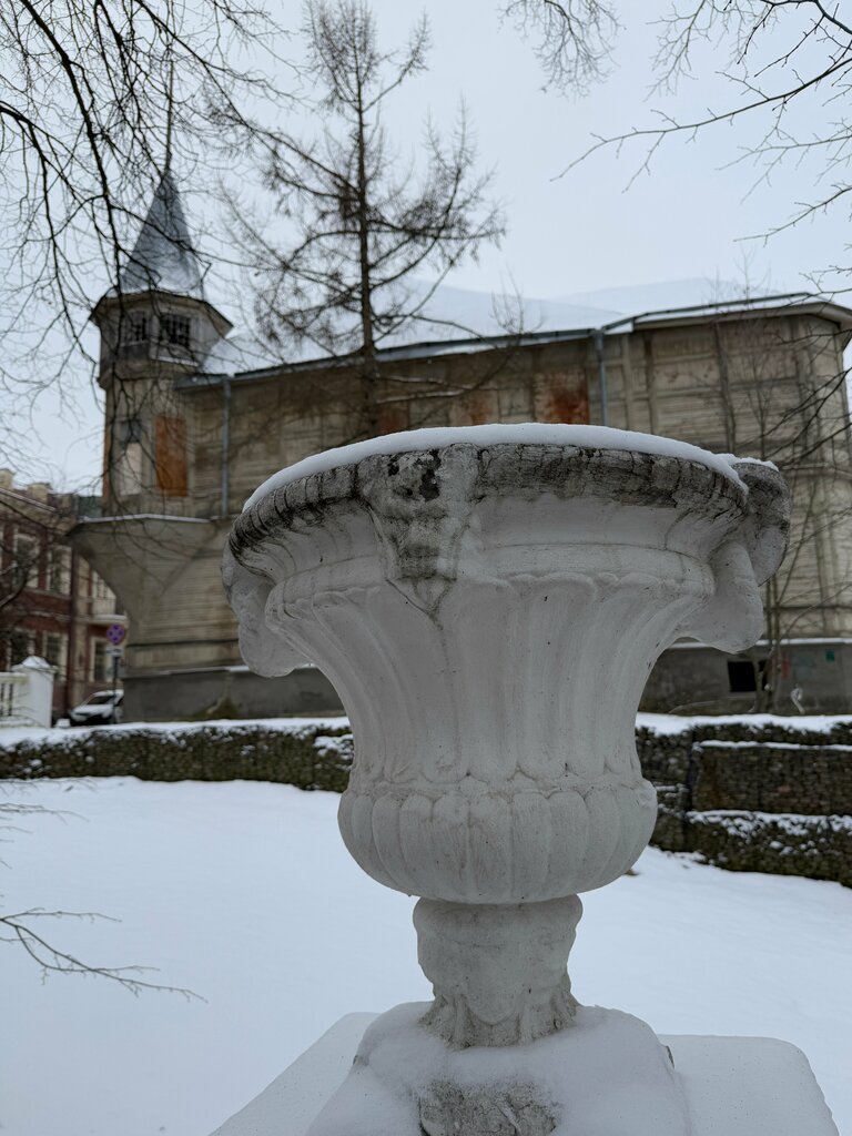 Turistik yerler Дом купца Волкова, Lomonosov, foto