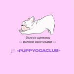 Puppyogaclub (Kalinina Street No:60, Vakhitovskiy City Administrative District), yoga stüdyosu  Kazan'dan